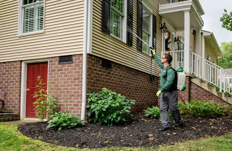 Same-Day Pest Control in WV, KY, & OH I Alford Pest Control